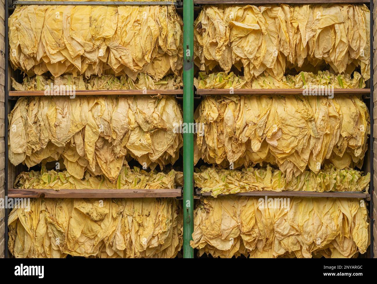 Air curing hi-res stock photography and images - Alamy