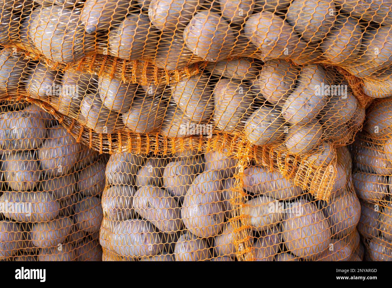 Underground tuber hi-res stock photography and images - Alamy