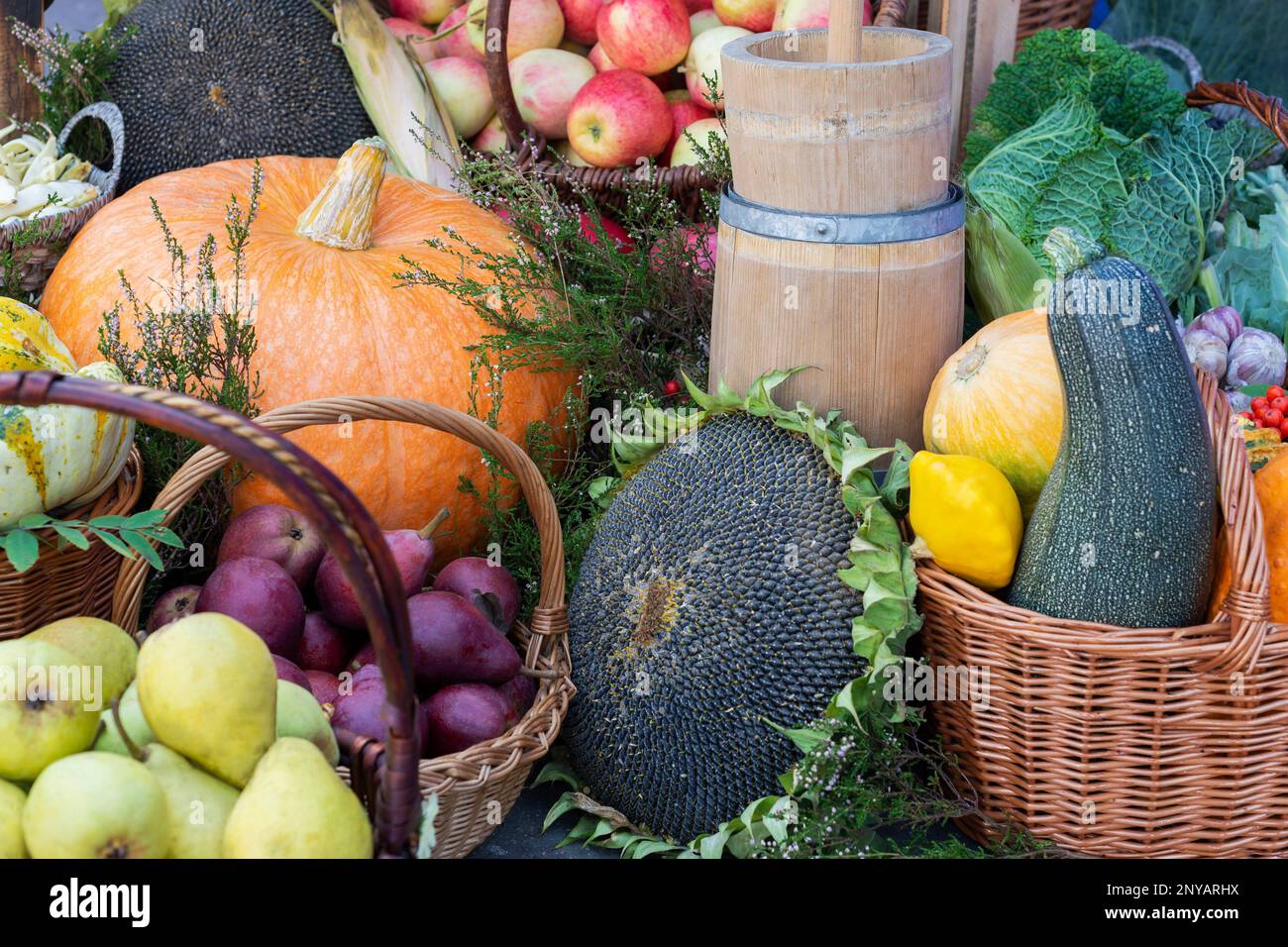 Organic Fruit And Vegetable Basket at Christopher Romero blog