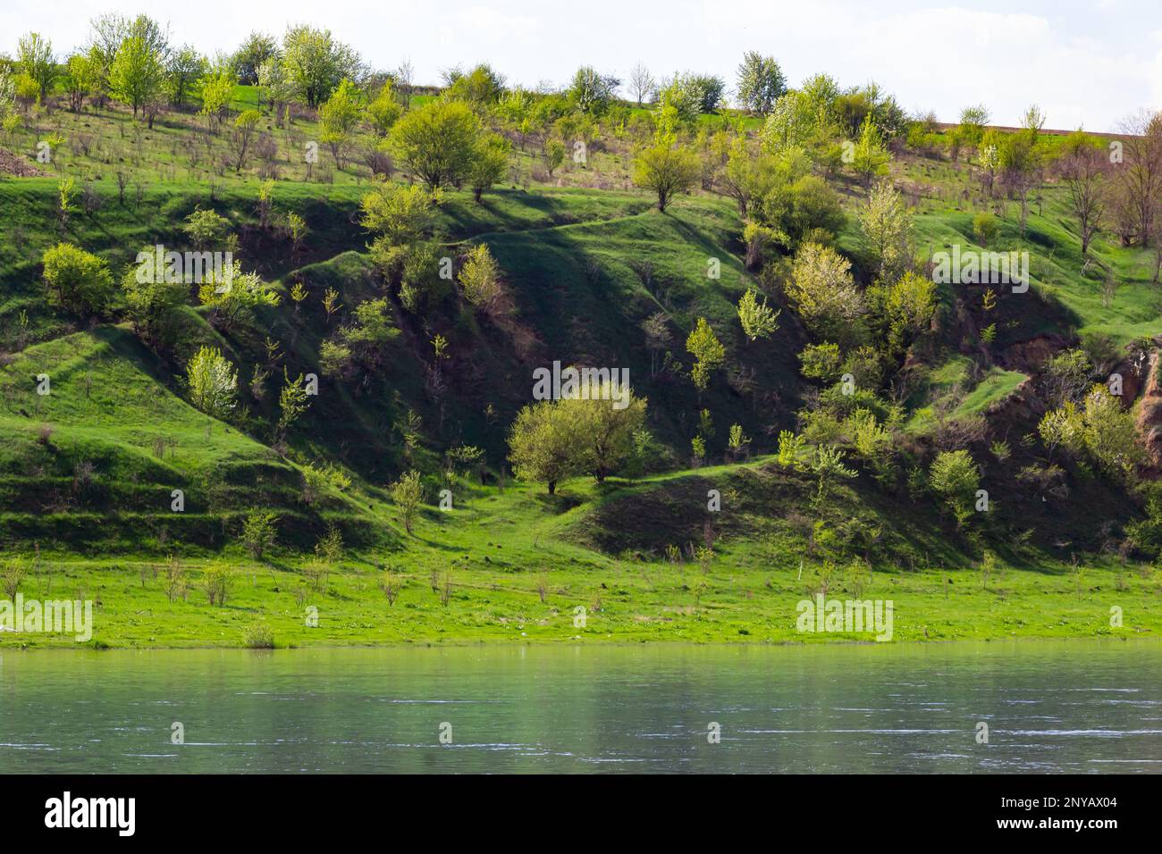 Spring grass surrounds rural hi-res stock photography and images - Alamy