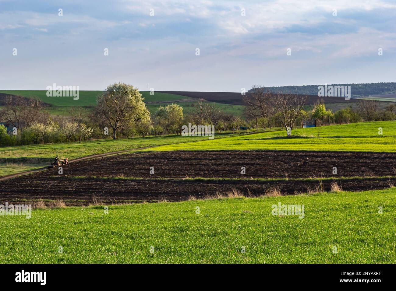 Beautiful spring landscape. Agricultural field with freshly cultivated ...