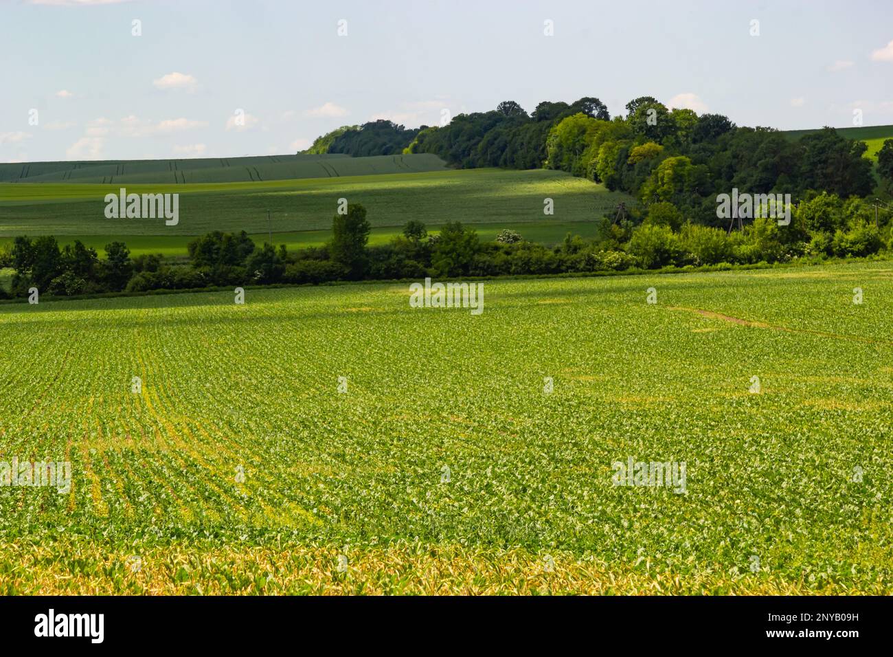 Agriculture green distance hi-res stock photography and images - Alamy