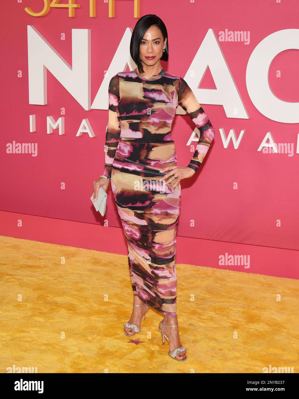 25 February 2023 - Pasadena, California - Daya Vaidya. 54th NAACP Image ...