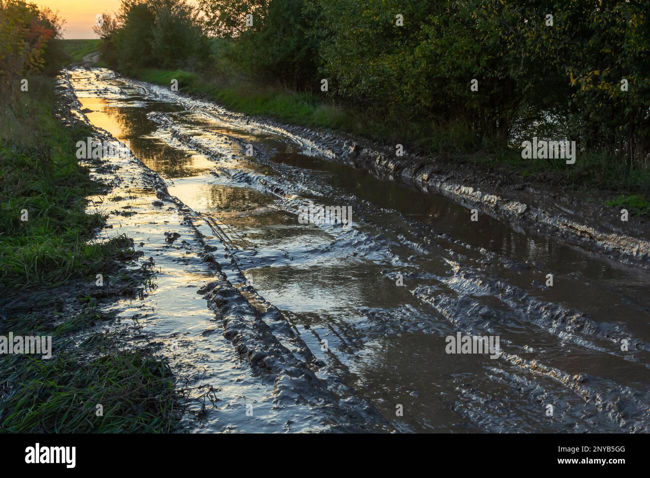 Vanishing dirt road with deep rut and puddles in village at sunset ...