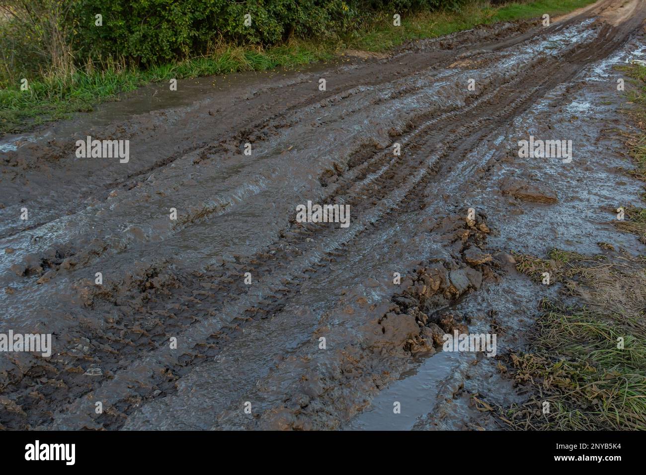 Vanishing dirt road with deep rut and puddles in village at sunset ...