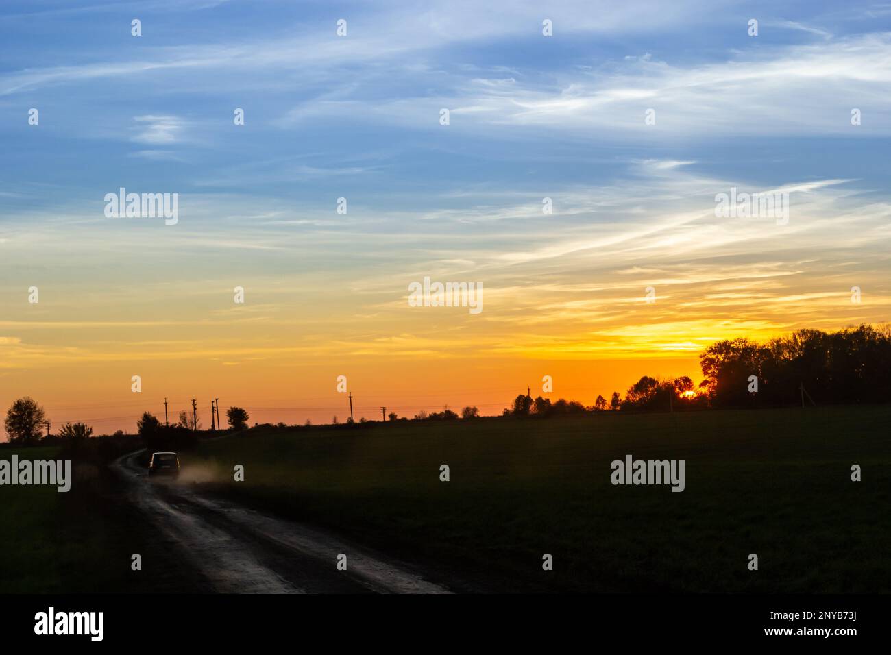 an empty road going forward between a green and plowed field with trees ...