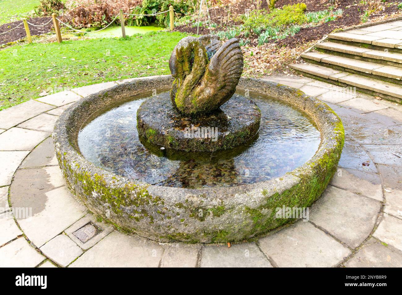 'Swan Fountain' sculpture by Willi Soukop 1950 in garden, Dartington ...