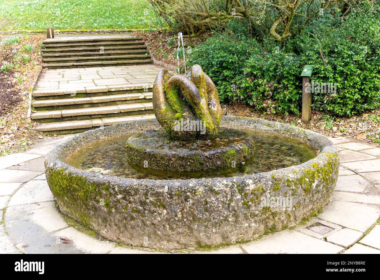 'Swan Fountain' sculpture by Willi Soukop 1950 in garden, Dartington ...