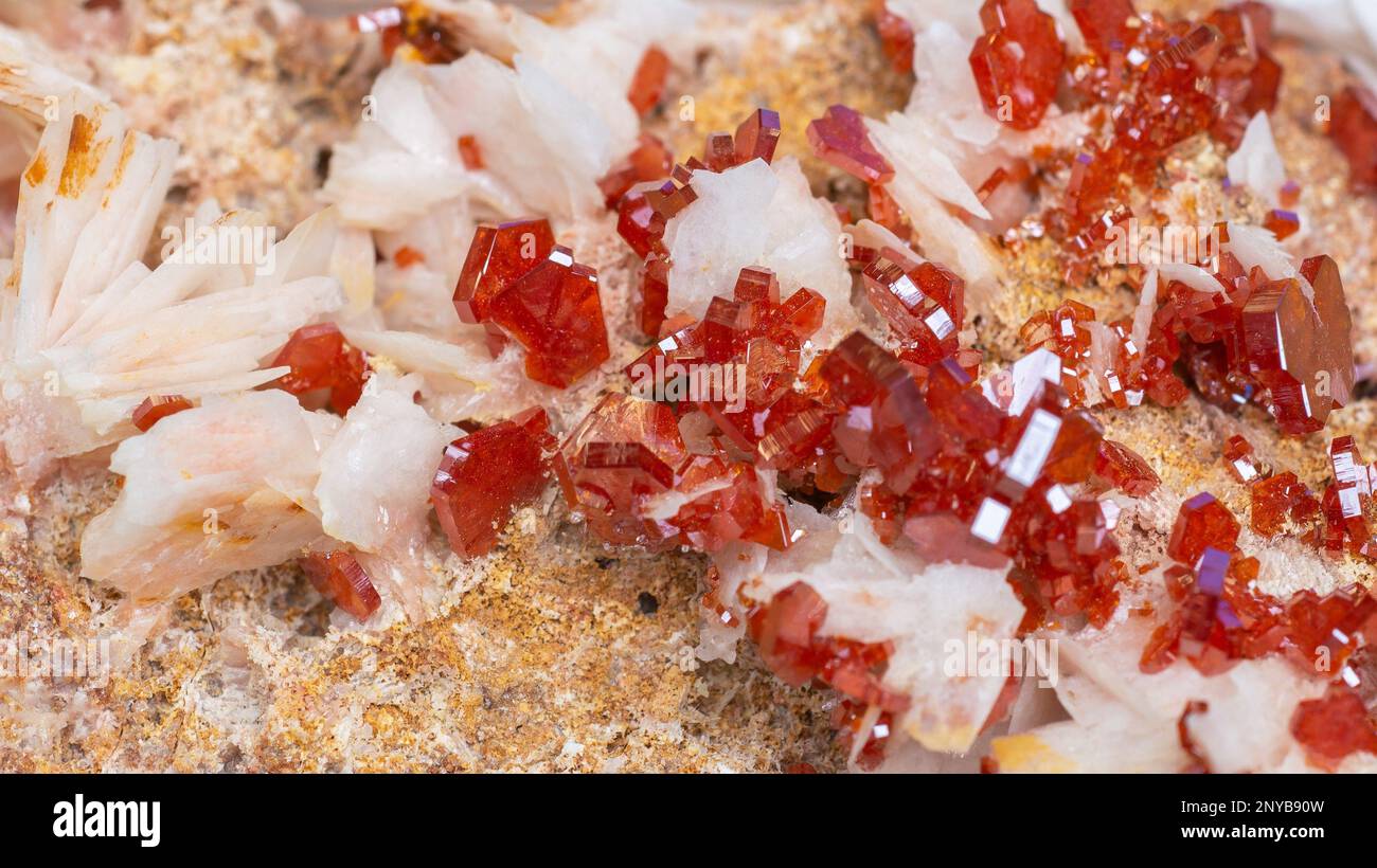 Lustrous blood-red vanadinite crystals on the snow-white bladed baryte ...