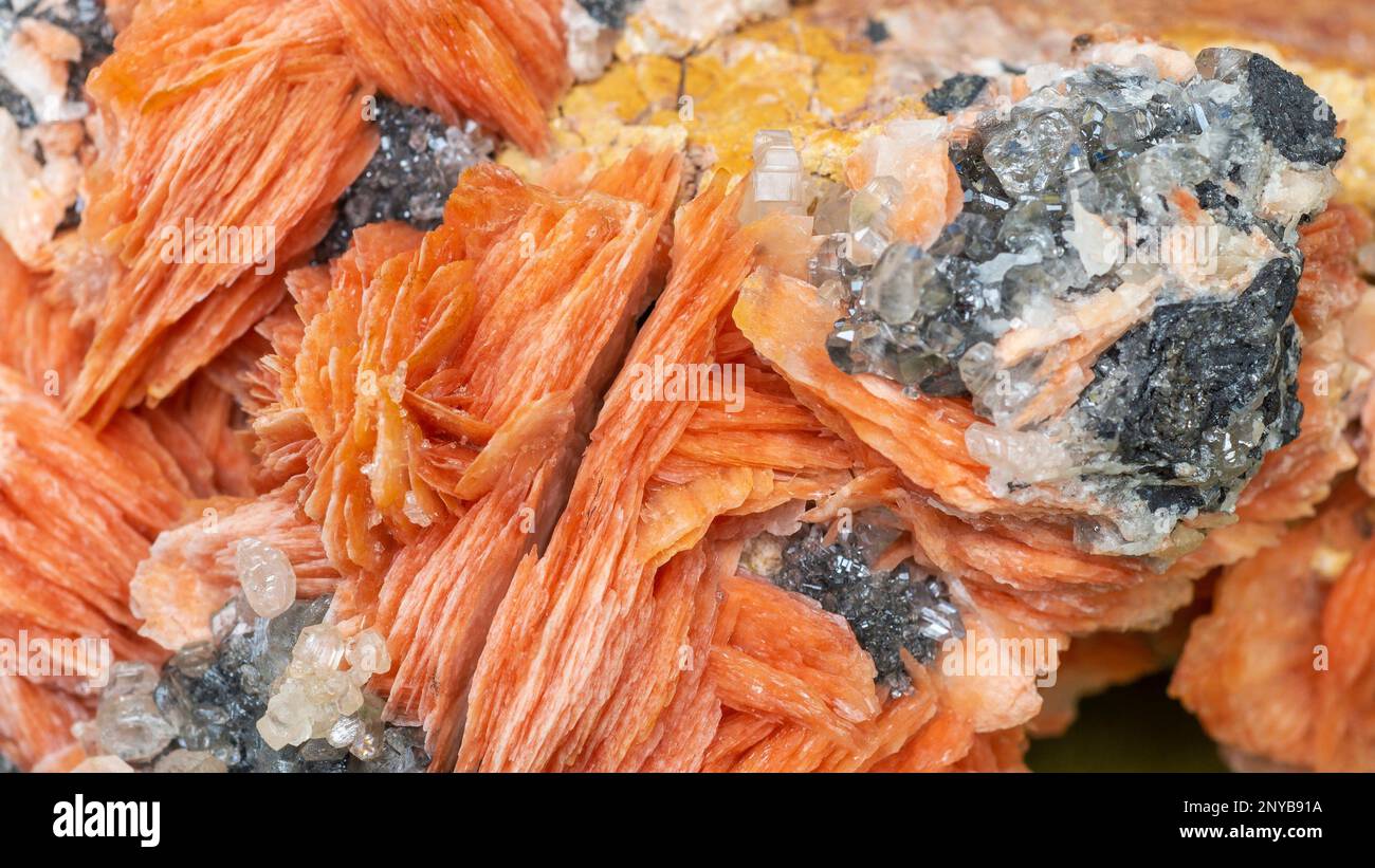 Formation matrix hi-res stock photography and images - Alamy