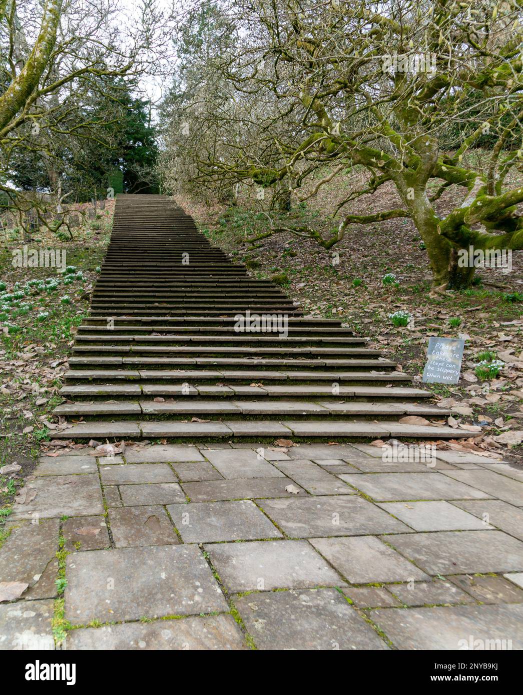 Magnolia Steps stone design feature, flight of steps by Percy Cane in ...
