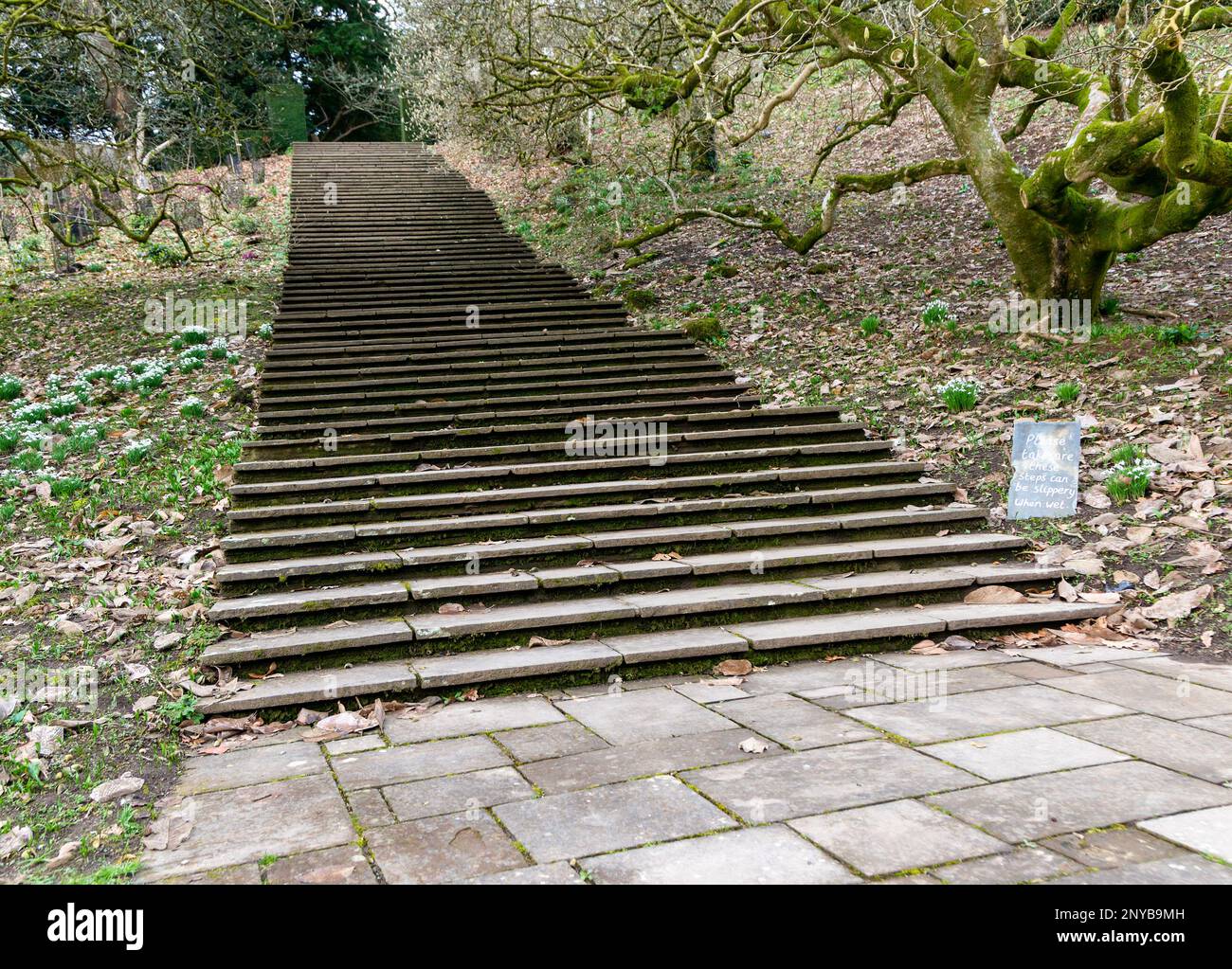 Magnolia Steps stone design feature, flight of steps by Percy Cane in ...