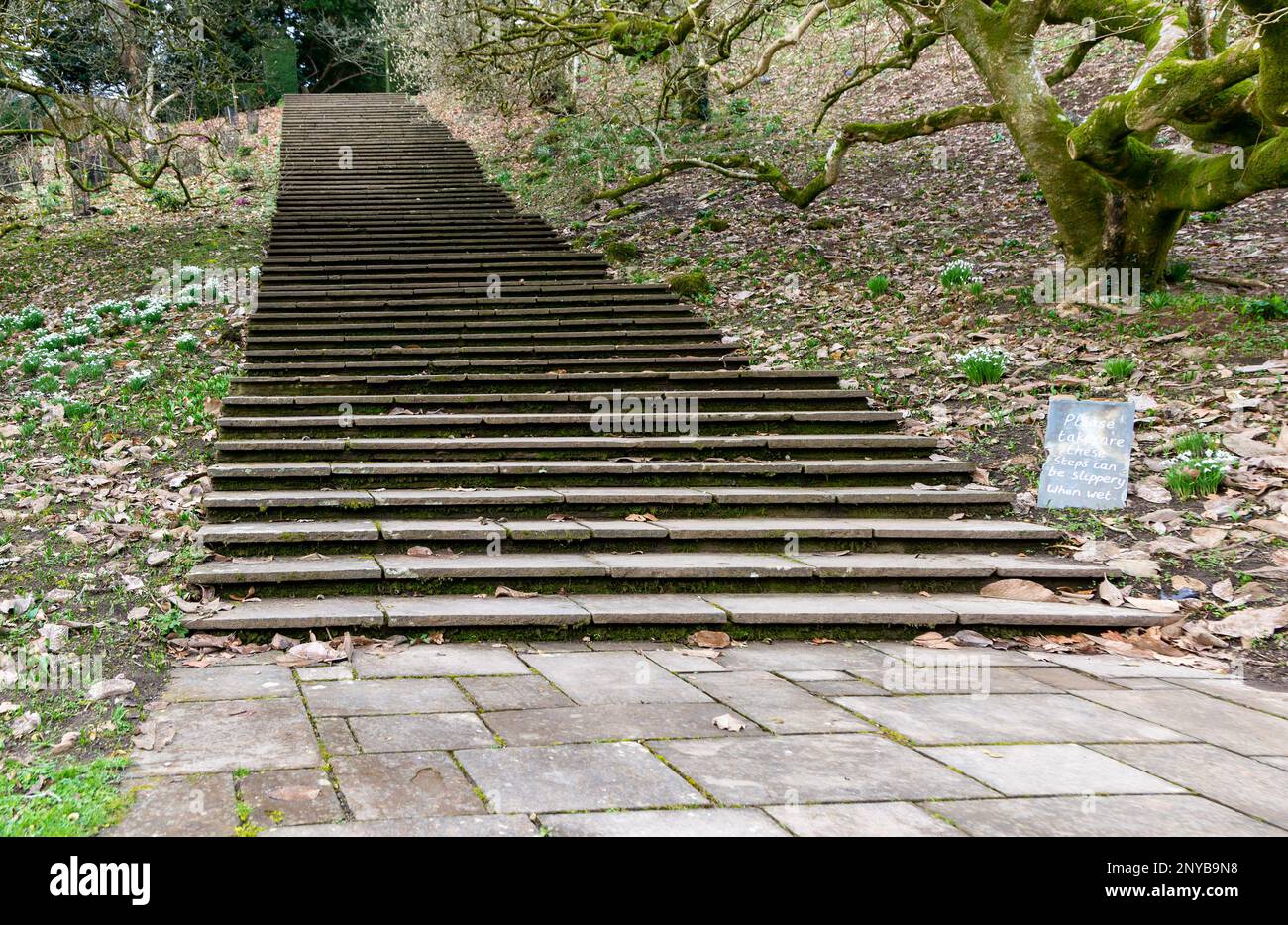 Magnolia Steps stone design feature, flight of steps by Percy Cane in ...