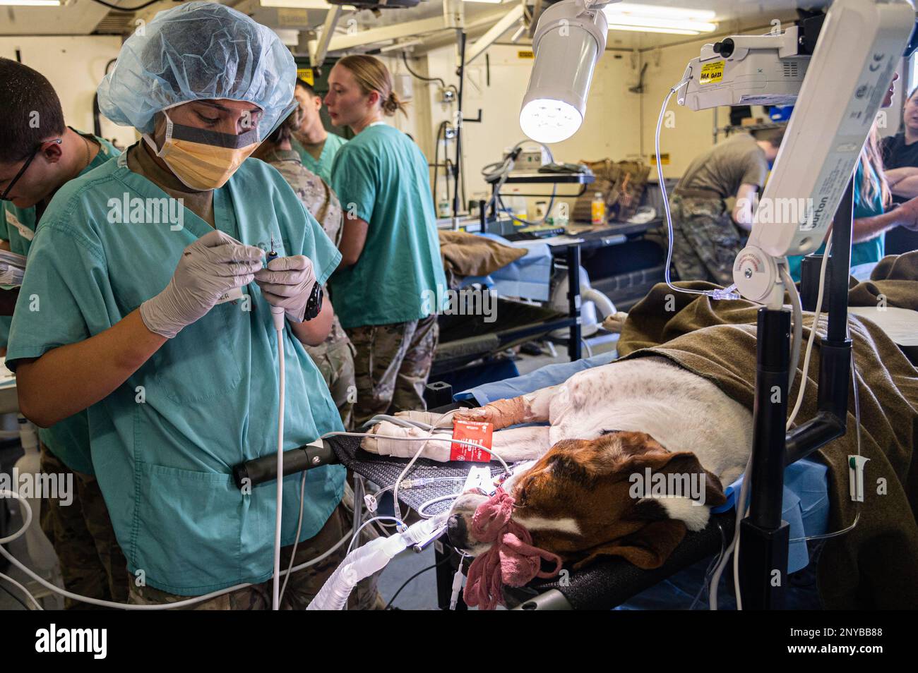 Private 2nd Class Chrystallina Sierra, assigned to the U.S. Army ...