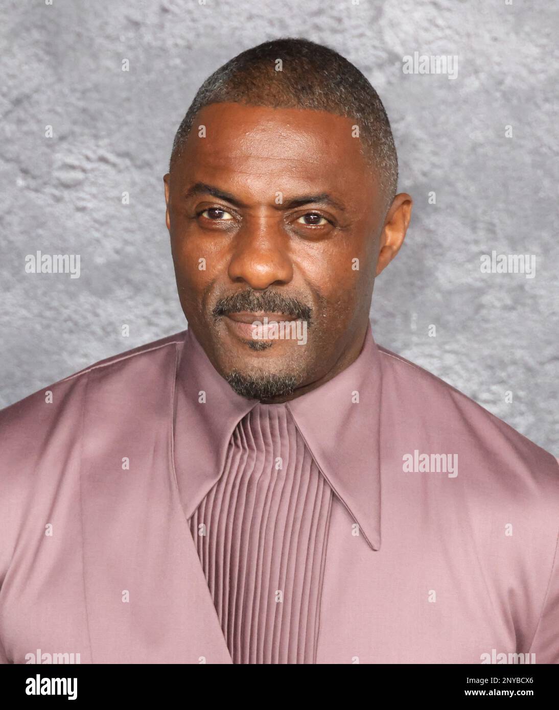 Idris Elba, Luther: The Fallen Sun - Global Premiere, BFI IMAX, London ...