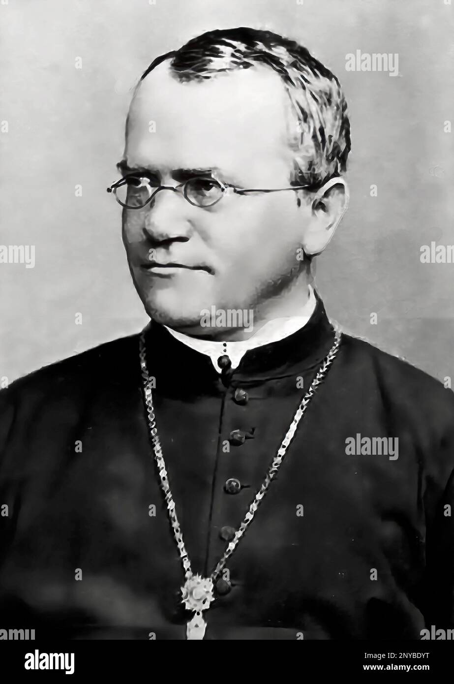 Gregor Mendel Biography, Experiments, Facts Britannica, 59% OFF Gregor Mendel Biography, Experiments, Facts Britannica, 59% OFF