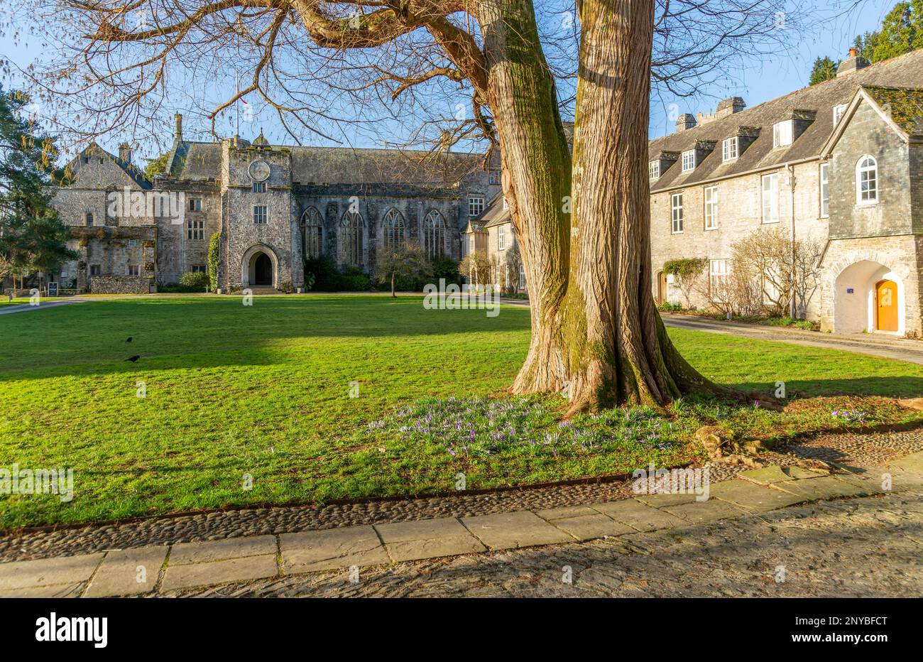 Historic medieval buildings in courtyard of Great Hall, Dartington Hall ...