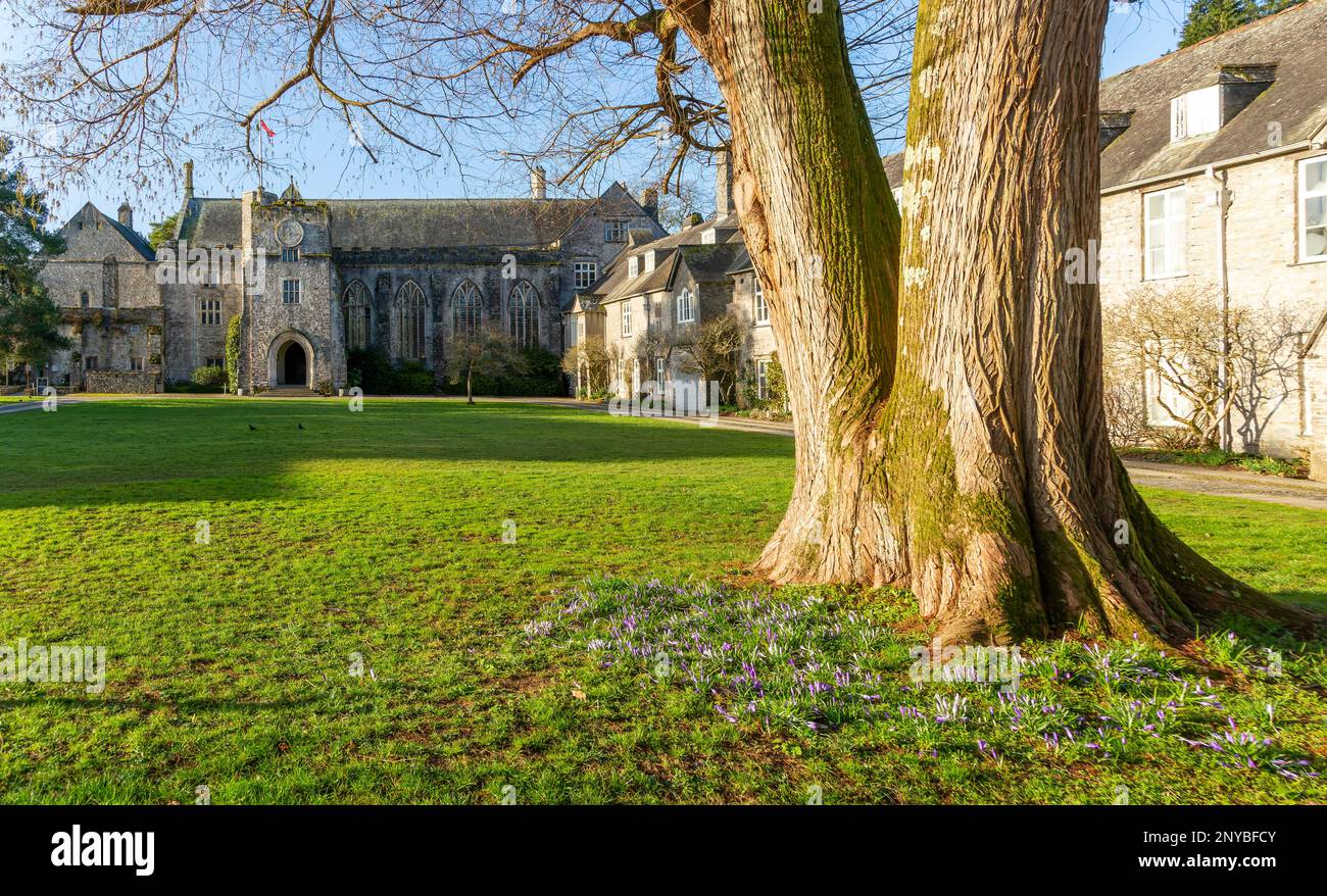 Historic medieval buildings in courtyard of Great Hall, Dartington Hall ...