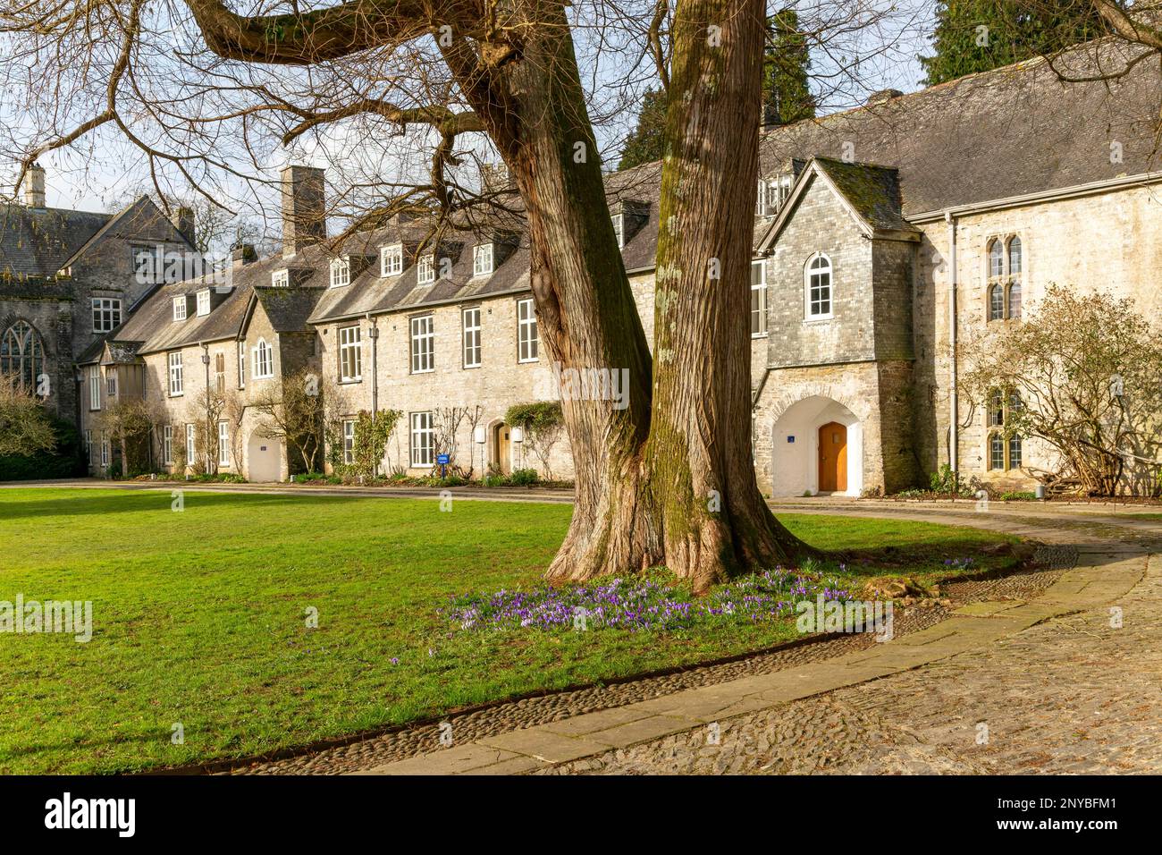 Historic medieval buildings in courtyard of Great Hall, Dartington Hall ...