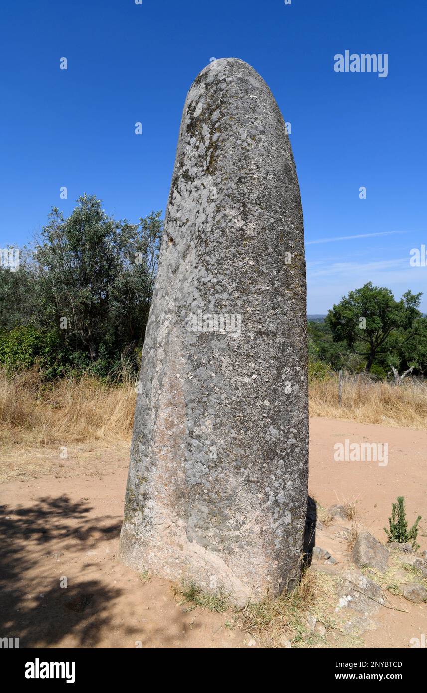 Senhora de guadalupe hi-res stock photography and images - Alamy