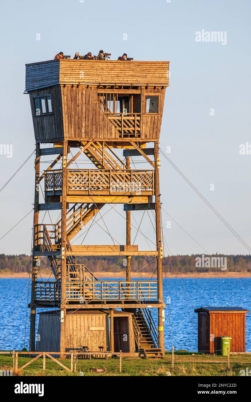 Bird tower with bird watchers by a lake Stock Photo - Alamy