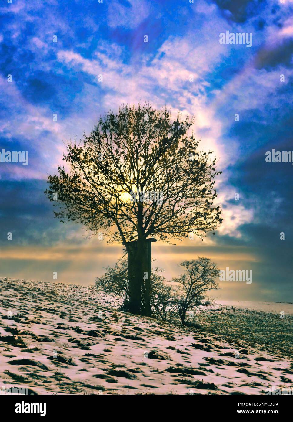 Alone fog one single hi-res stock photography and images - Alamy
