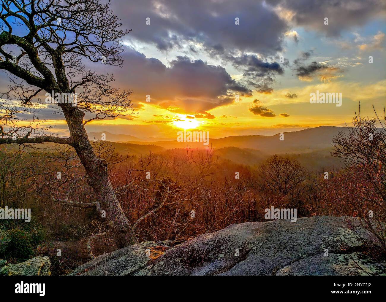 Raven at sunset hi-res stock photography and images - Alamy
