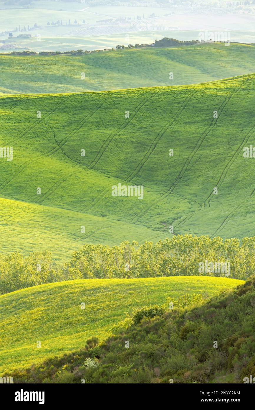 Rolling fields with hills and valleys Stock Photo - Alamy