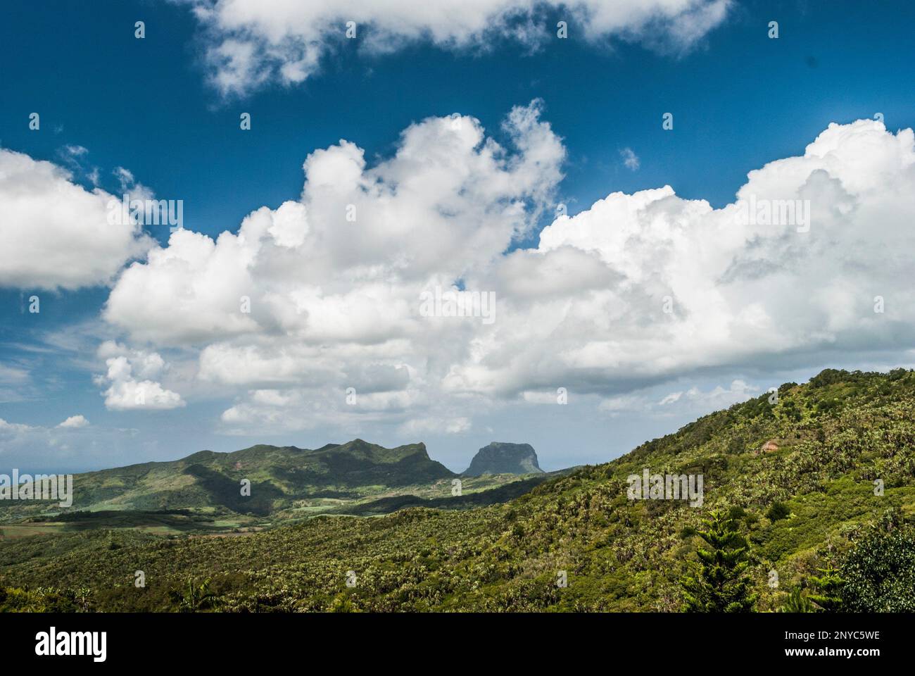 Landscape and flora of Mauritius. Black River National Park, Mauritius ...