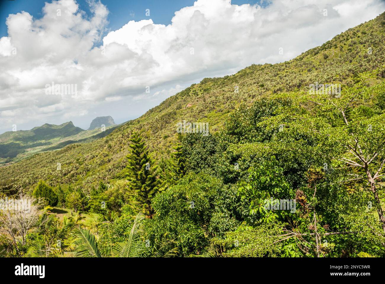 Mauritius black river national park hi-res stock photography and images ...