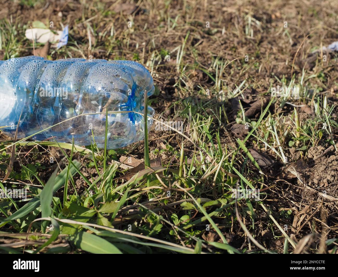 plastic bottle amidst the grass symbol of environmental pollution Stock ...