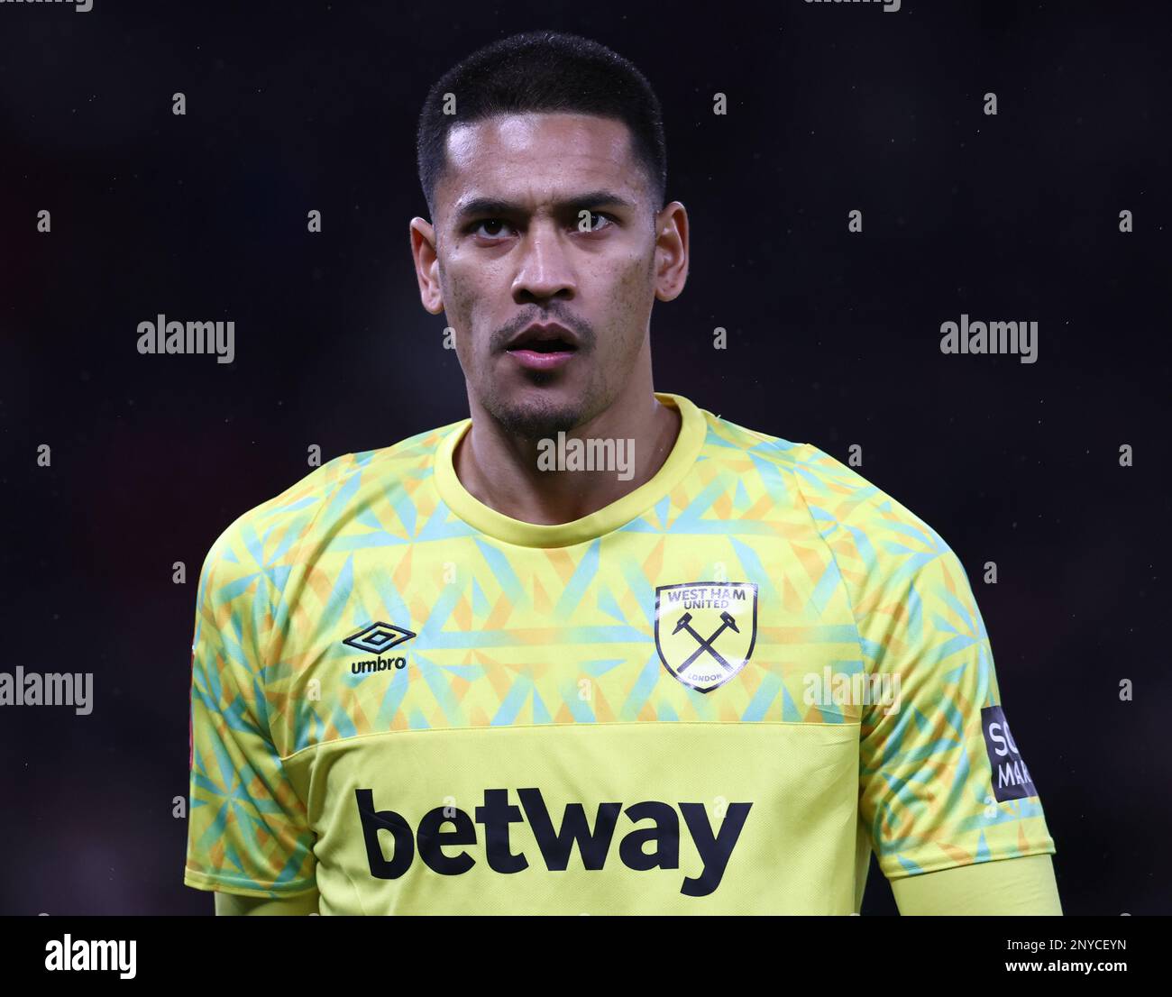Alphonse areola 2023 hi-res stock photography and images - Alamy