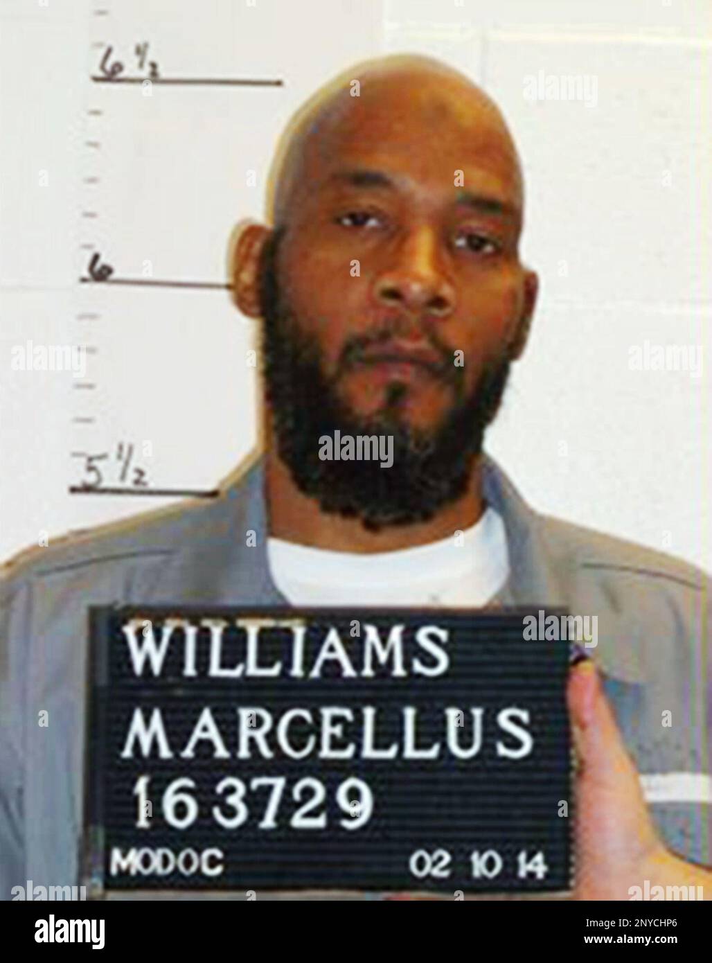 FILE - This February 2014 file photo provided by the Missouri ...