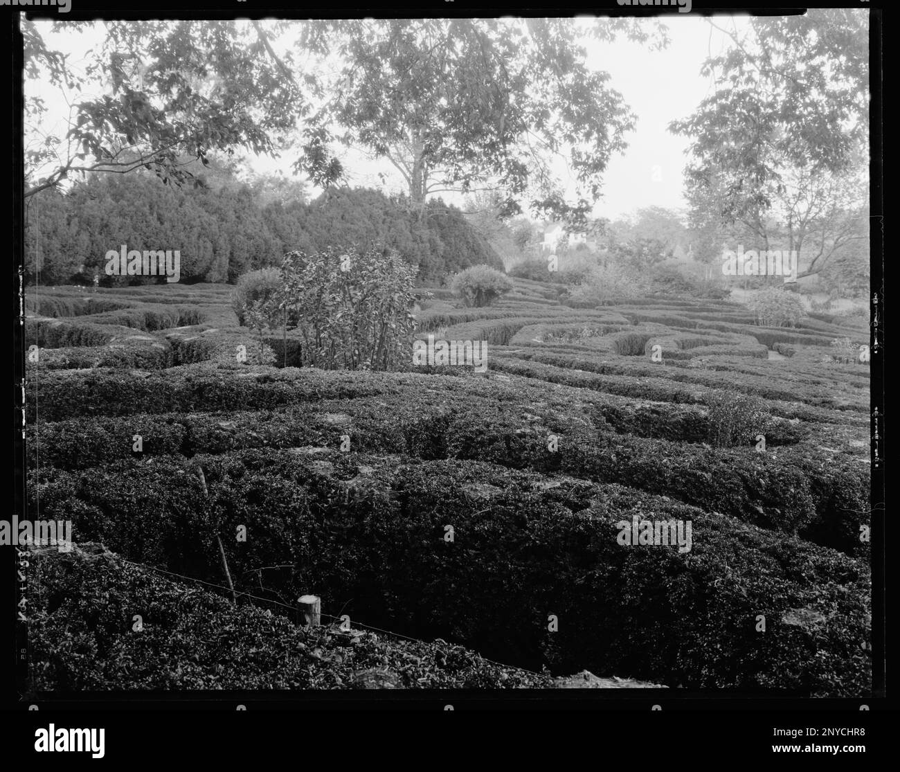 Mazes and gardens Black and White Stock Photos & Images - Alamy