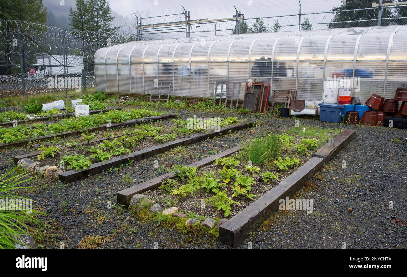 A garden and greenhouse are shown at the Lemon Creek Correctional ...