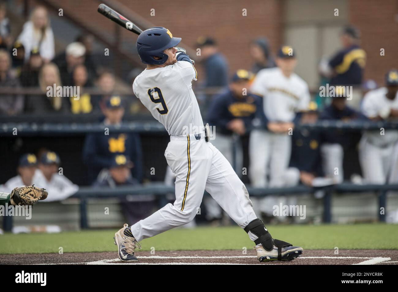 Michigan Wolverines shortstop Michael Brdar (9) follows through on his ...