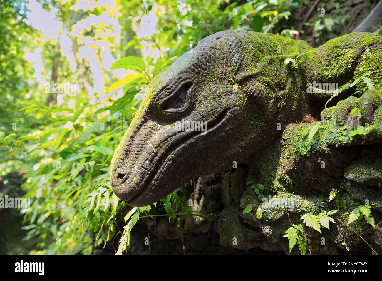Close-up of a moss-covered stone figure in the shape of a salamander in ...