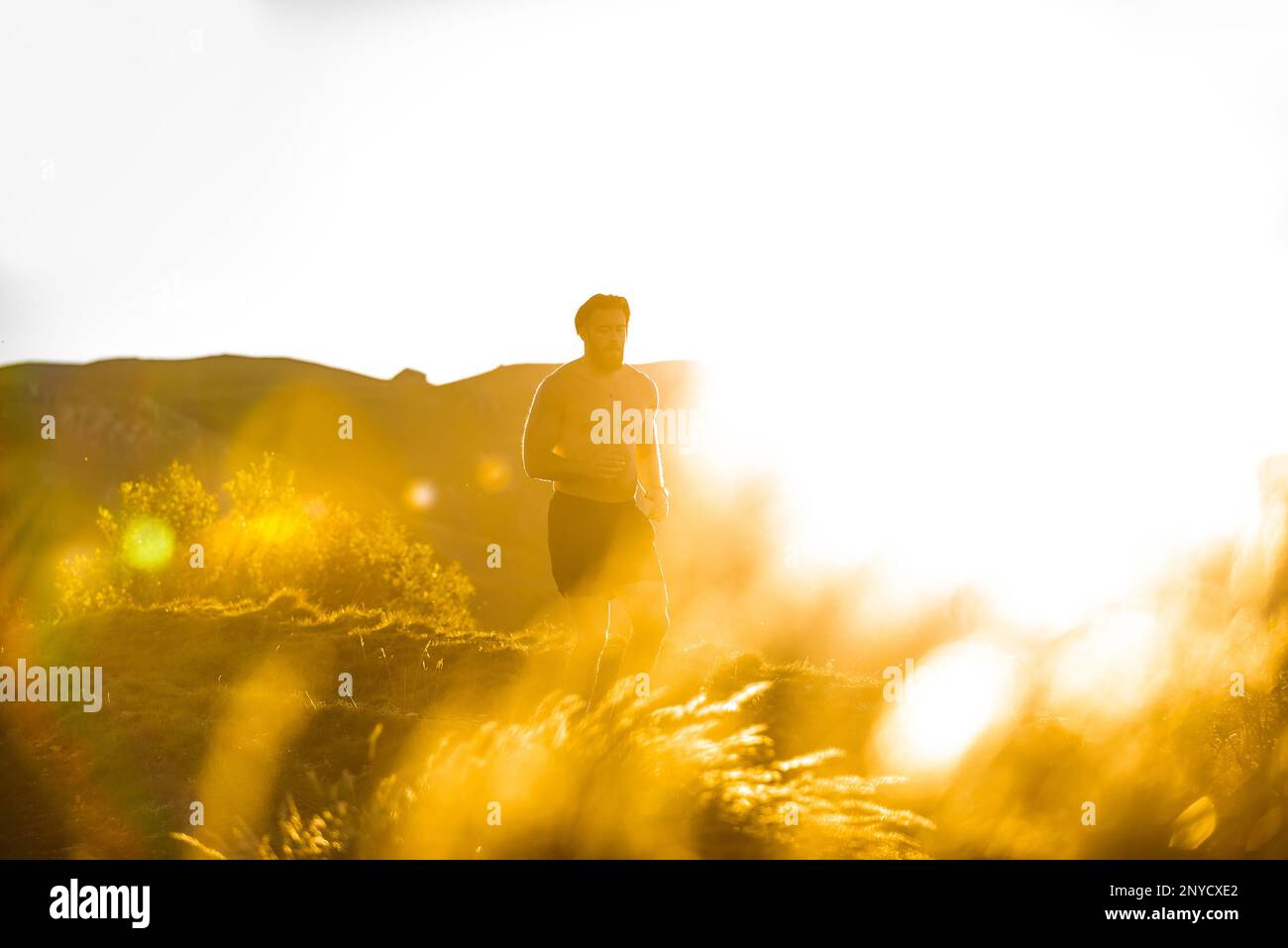 Athletic young man running in the nature. Healthy lifestyle Stock Photo ...