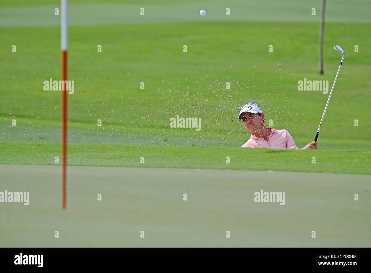 Paula reto hi-res stock photography and images - Alamy