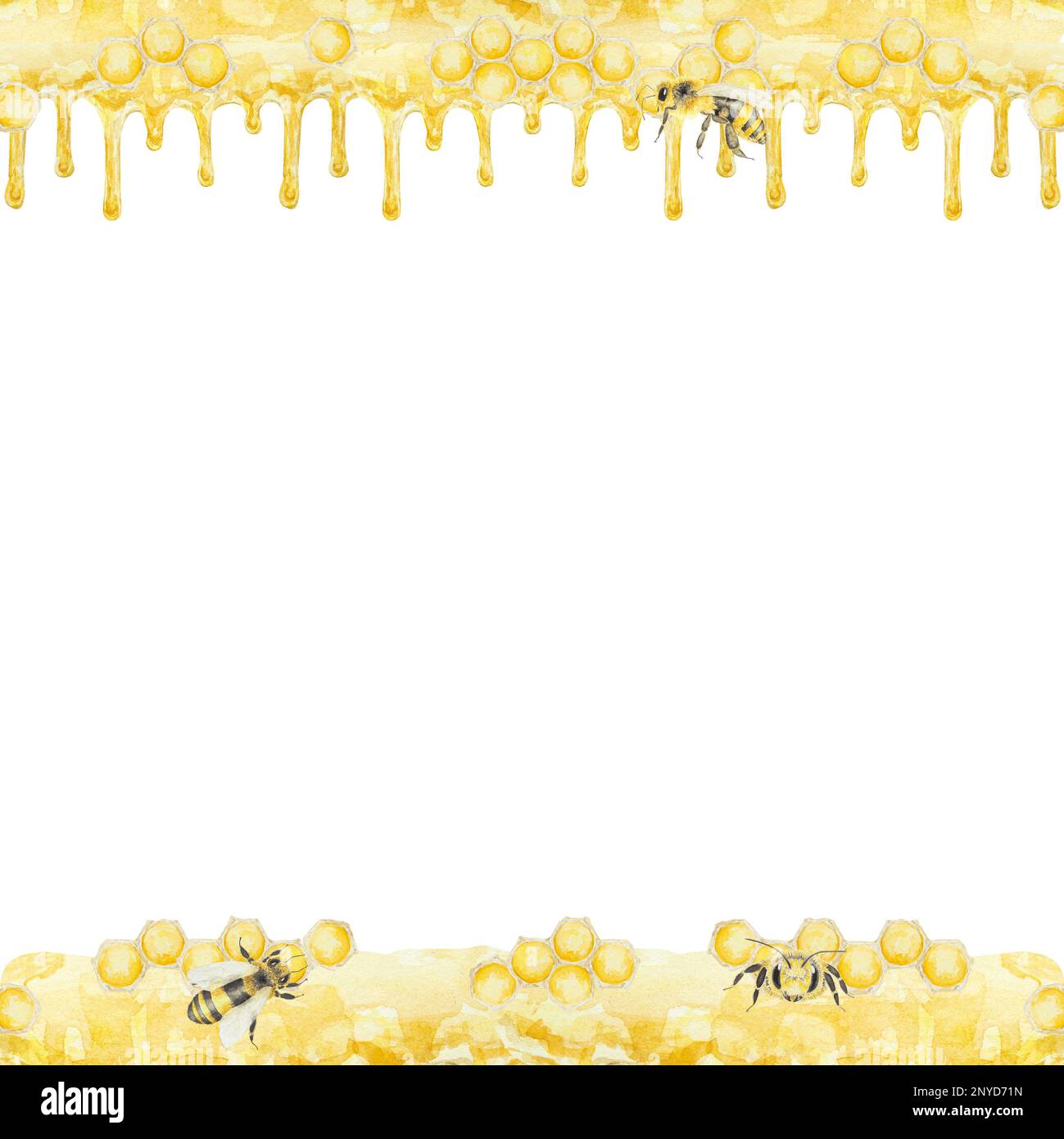 Watercolor hand drawn frame of bees and honey isolated on white ...