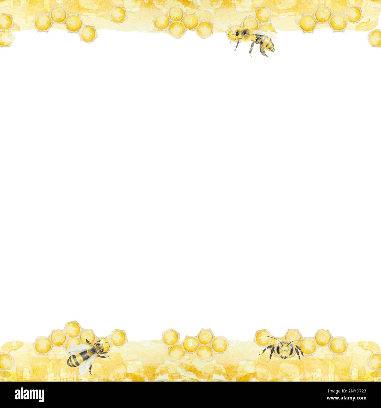 Watercolor hand drawn frame of bees and honey isolated on white ...