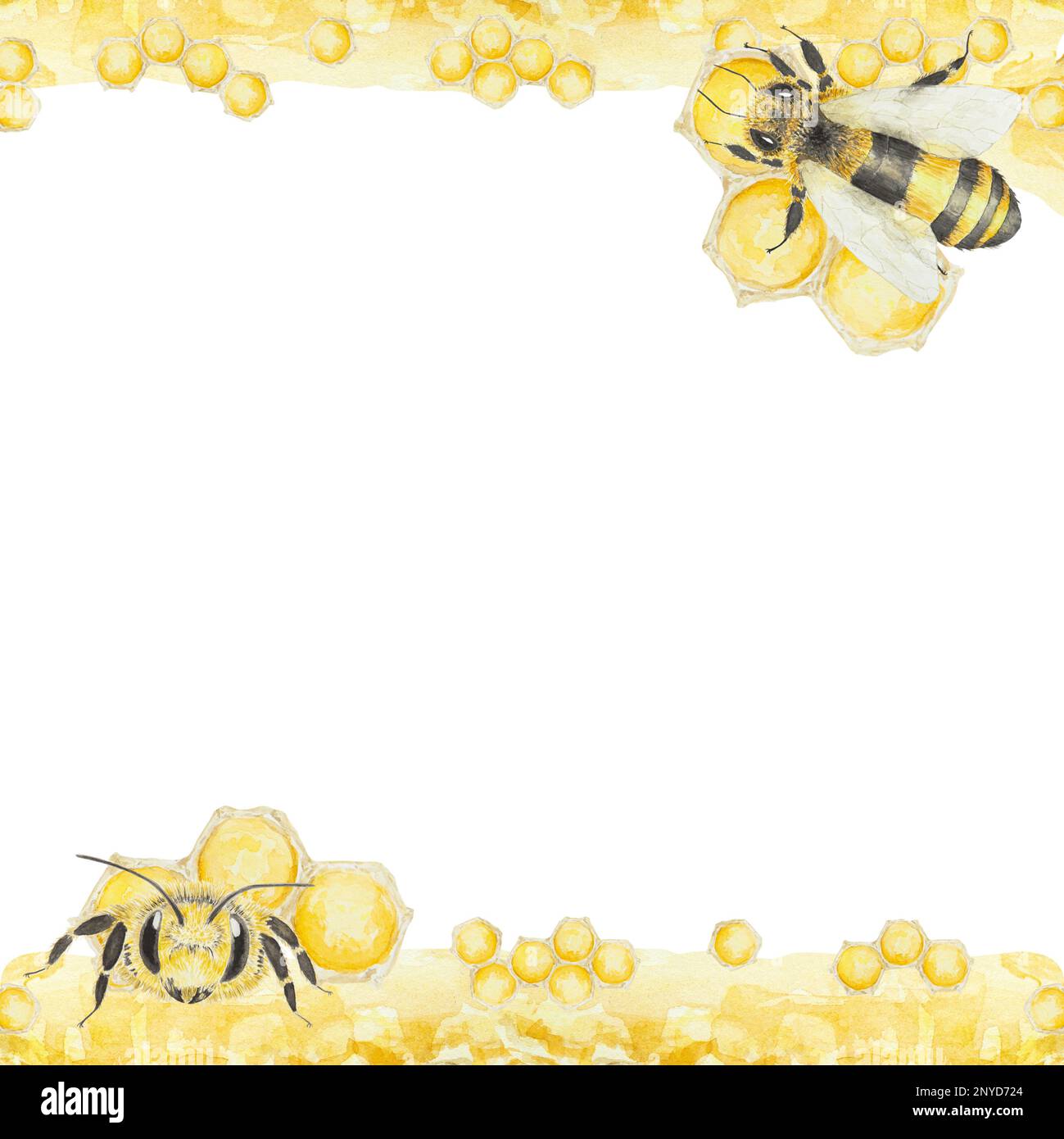 Watercolor hand drawn frame of bees and honey isolated on white ...