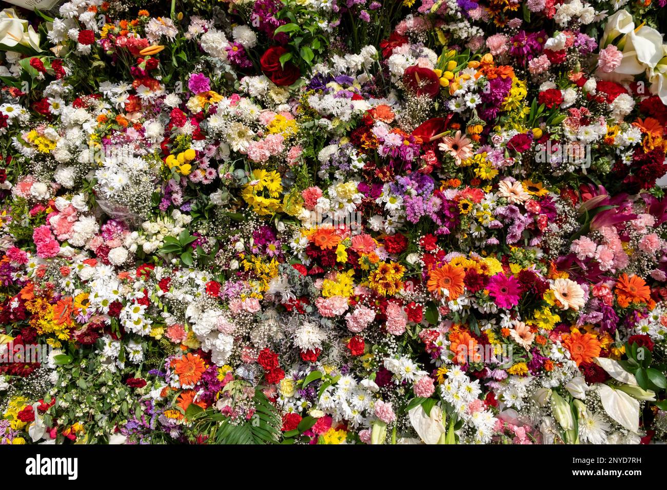 An arrangement of many different types of flowers hi-res stock ...