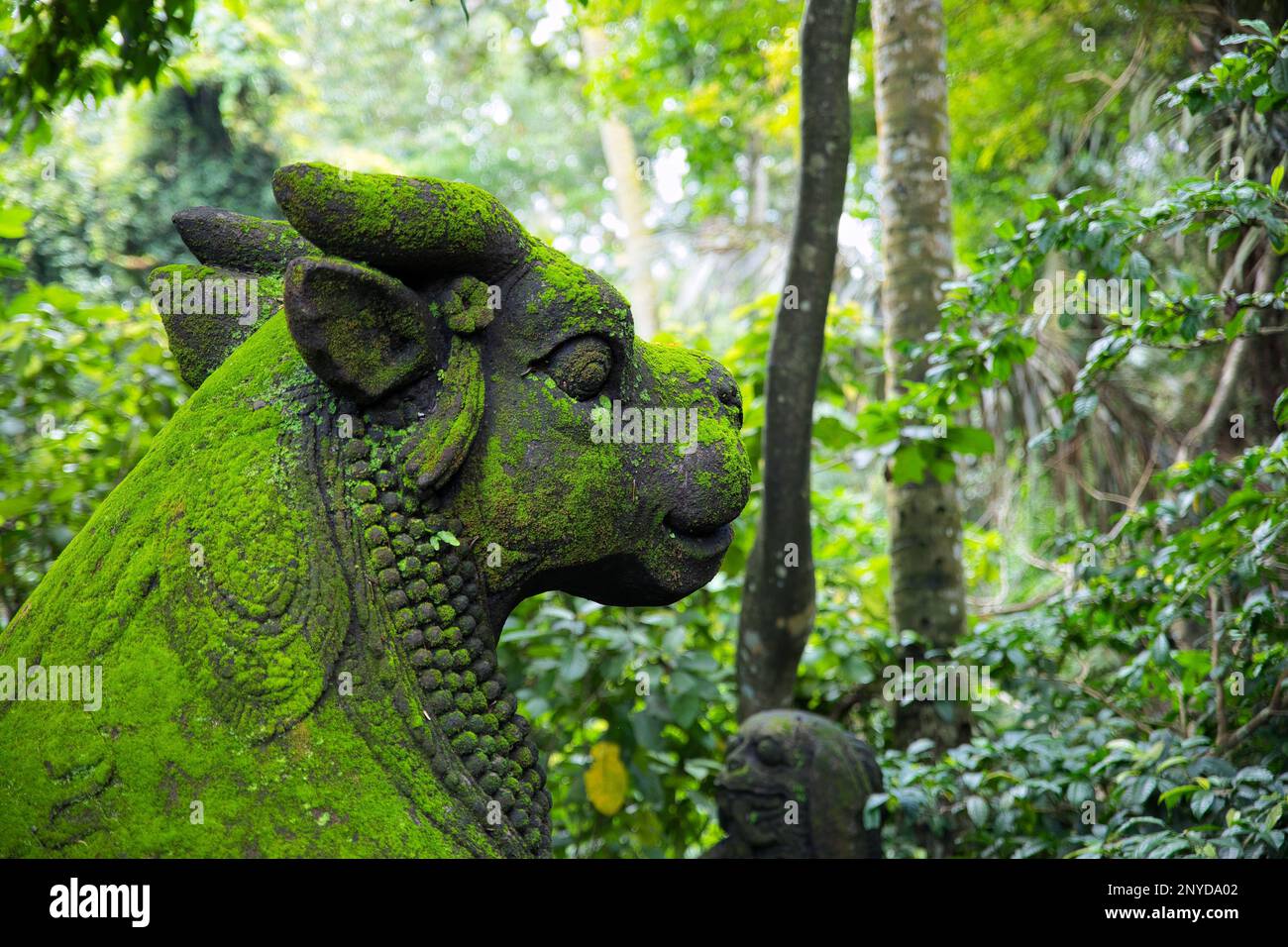 Close-up of a moss-covered mystical stone figure in the middle of a sun ...