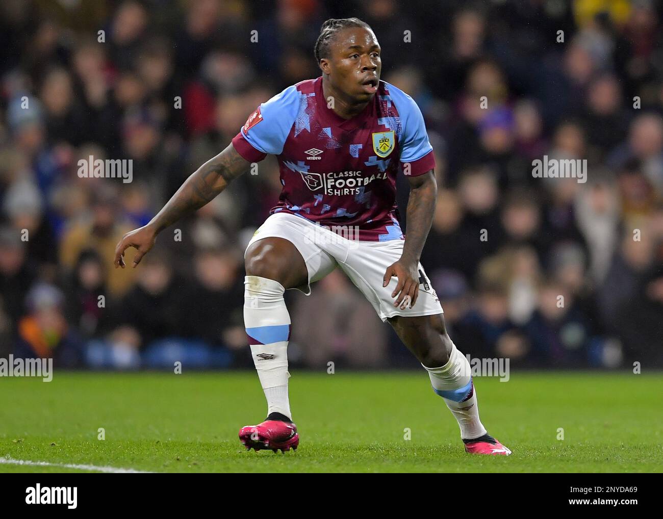 Michael obafemi burnley 2023 hi-res stock photography and images - Alamy