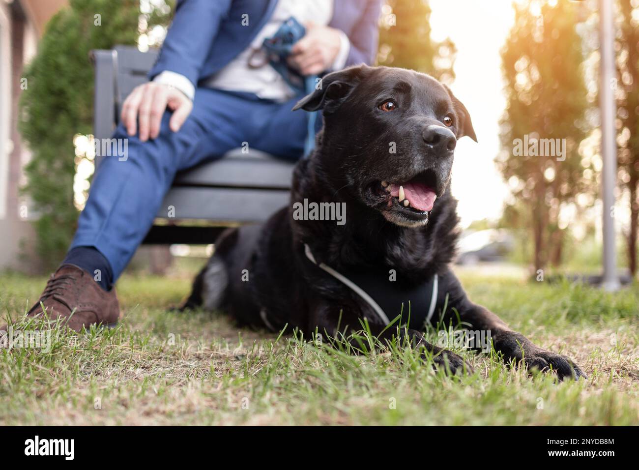 Get ready to walk hi-res stock photography and images - Alamy