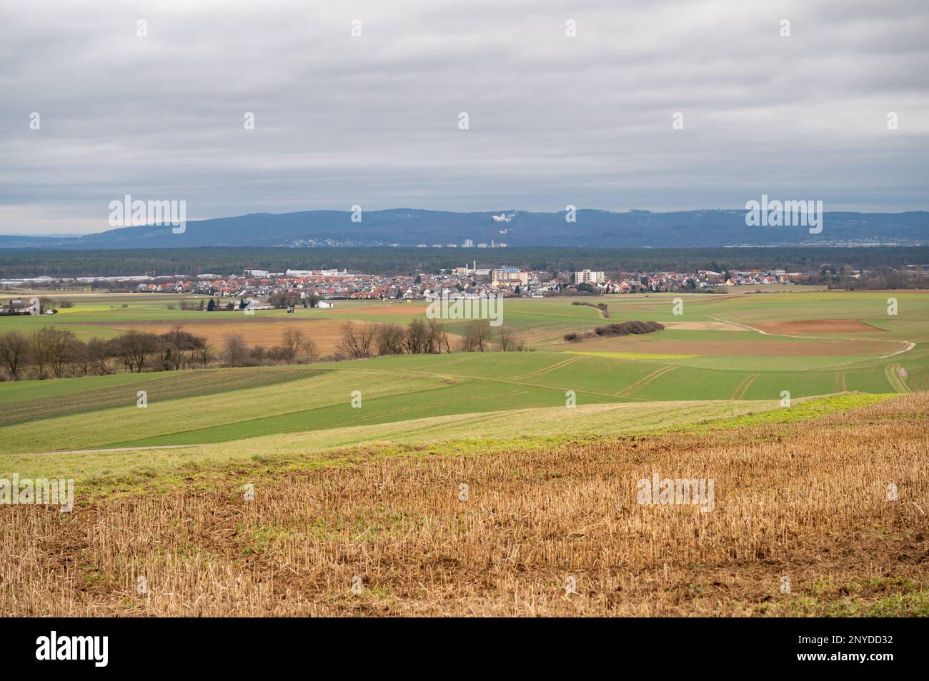 Cityscape of Schaafheim, with agricultural fields in the front and ...