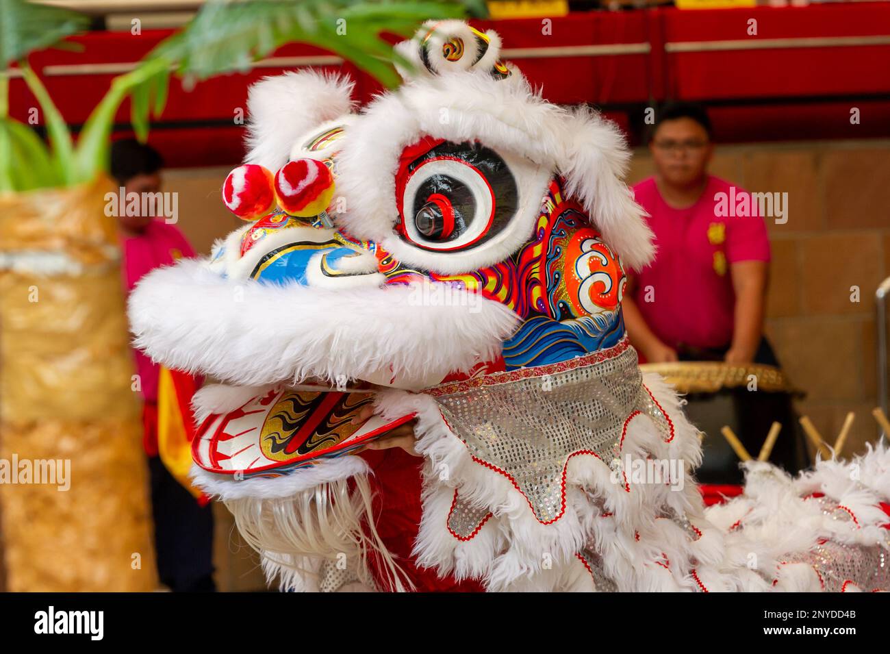 Traditional southern chinese lion hi-res stock photography and images ...