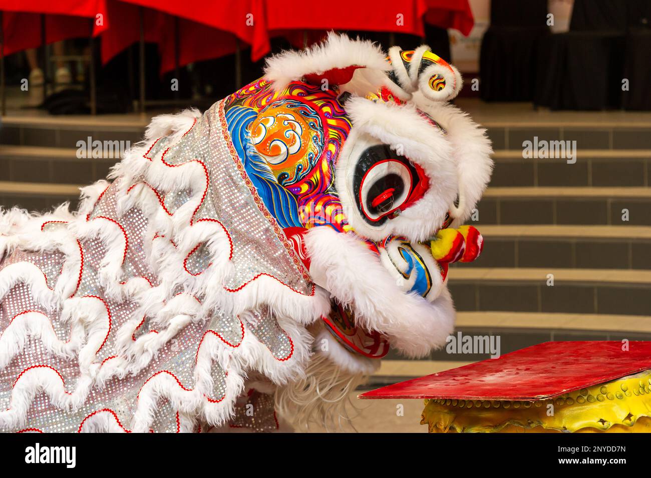 A traditional Southern Chinese Lion Dance Troupe Stock Photo - Alamy