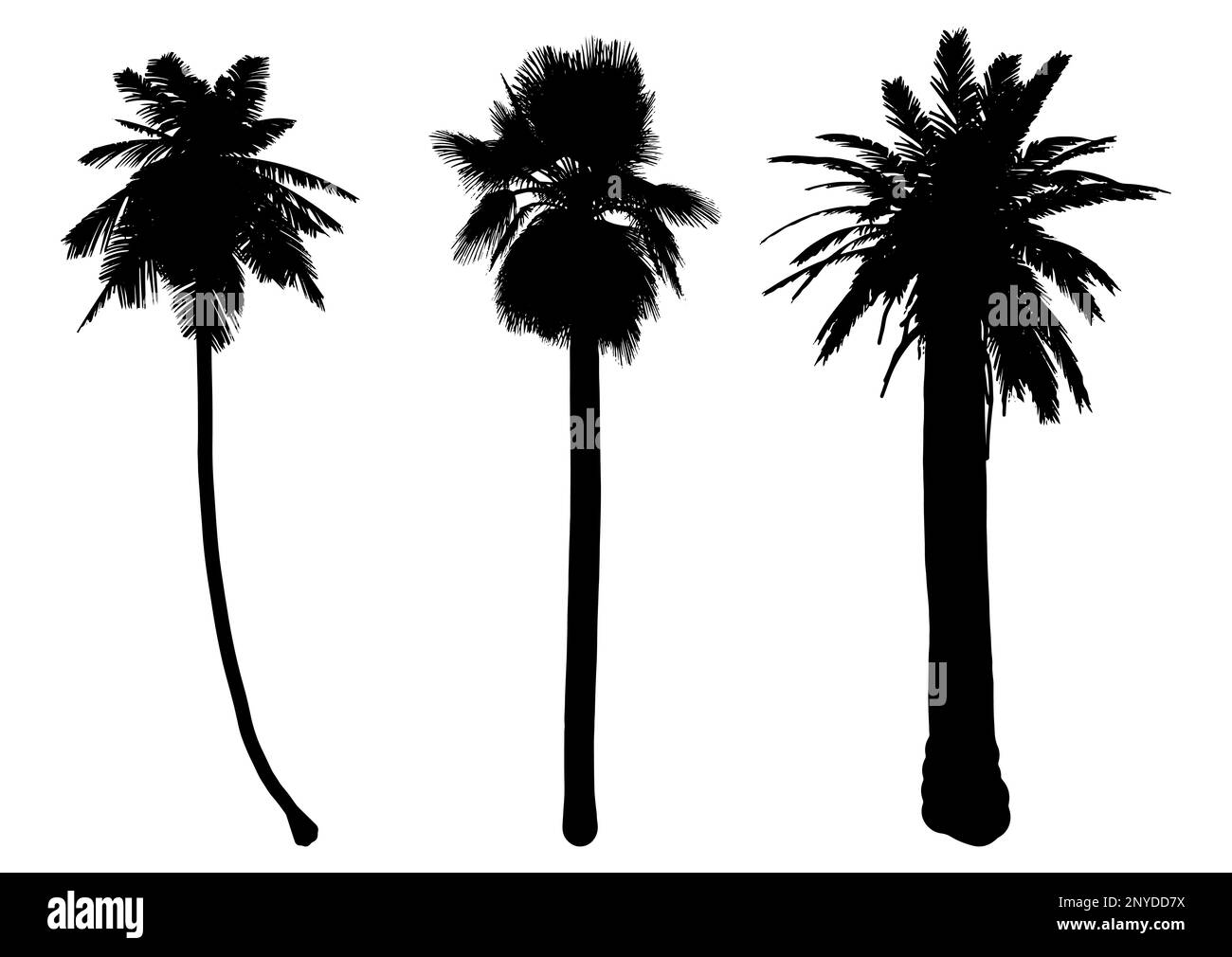 Collection of detailed palm tree silhouettes Stock Vector Image & Art ...